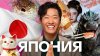 Skyeng  СТЫДНЫЕ ВОПРОСЫ О ЯПОНЦАХ