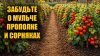 САД ОГОРОД ПРО_Забудьте о прополке, сорняках и мульче! Жалею