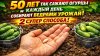 60 Соток в Сибири_50 лет так сажают огурцы и каждый день соб