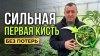 Мистер Агро_Томаты будут цвести как бешеные! Секрет 100% зав