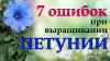 Урожайный сад и огород_Главные ошибки при выращивании петуни