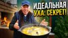 ДЕД МЯСОЕД_Как приготовить идеальную уху на природе? Рецепт