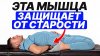 Доктор Алесь Улищенко_Если не убрать спазм с этой мышцы, то