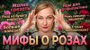 Кристина Черненок_6 мифов о розах, которые убивают ваш сад.