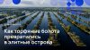 Как торфяные болота превратились в элитные острова