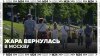 Оранжевый уровень опасности объявлен из-за жары в Москве в н