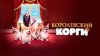 Вольга_Королевский корги