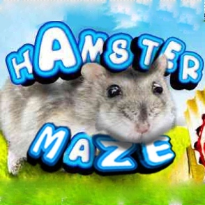 DIY Hamster Maze