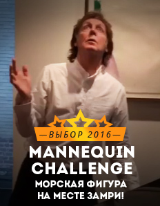 Итоги. Манекен Челлендж