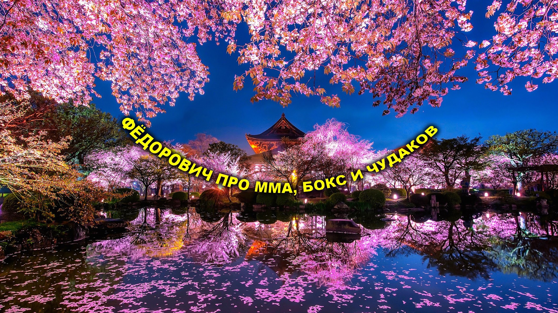 MuayThaiCK (ФЁДОРОВИЧ ПРО ММА, БОКС И ЧУДАКОВ)