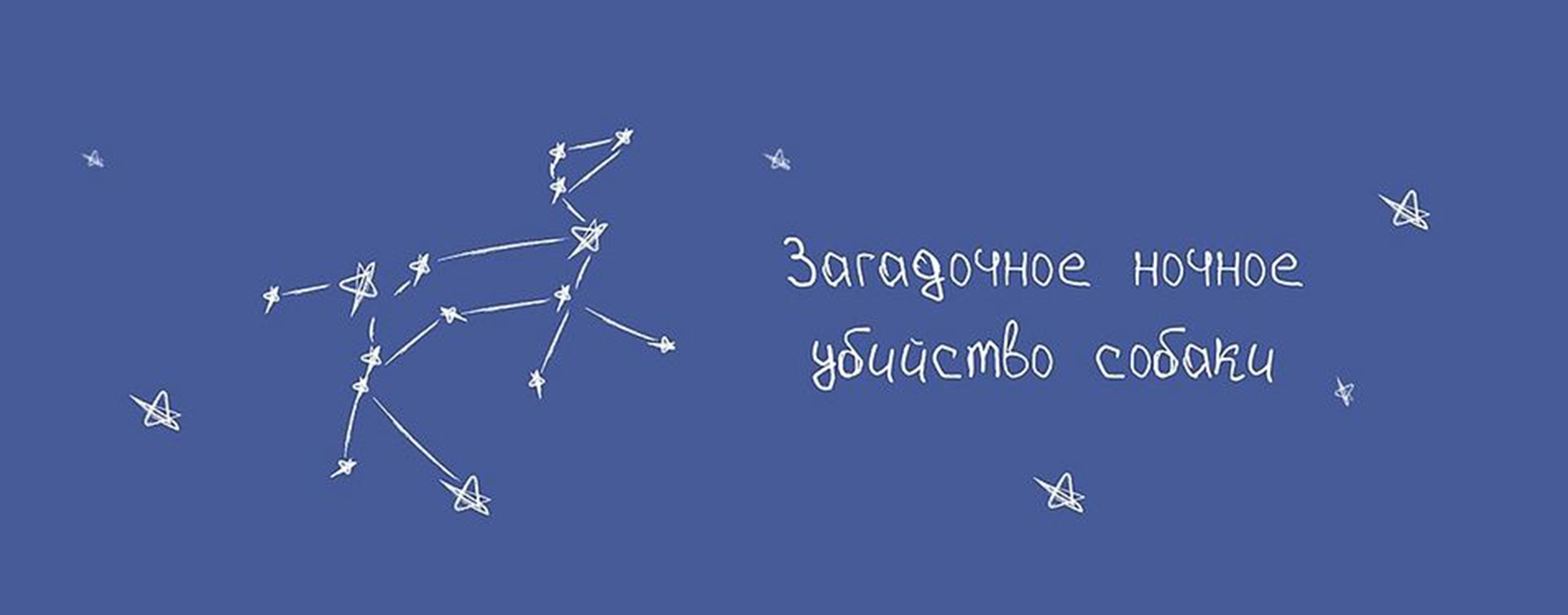 Загадочное ночное убийство собаки