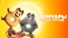 Вольга_Пончары. Глобальное закругление