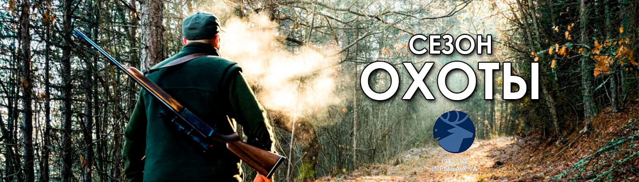 Сезон охоты