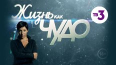 Жизнь как чудо