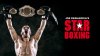 Star Boxing Rockin Fights