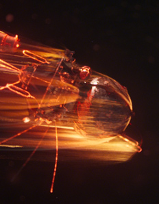 Время первых_14