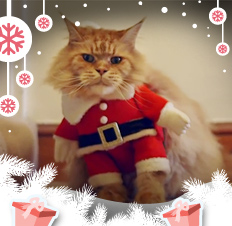 Новый год - реклама