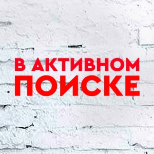 Иконка канала В активном поиске | PREMIER