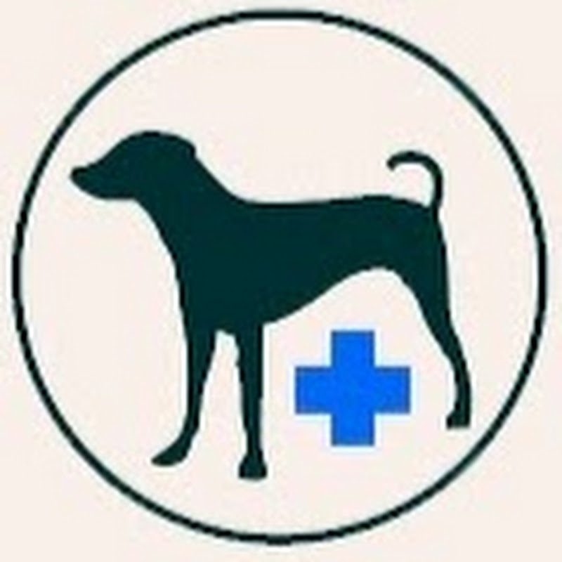 Иконка канала Советы Ветеринара