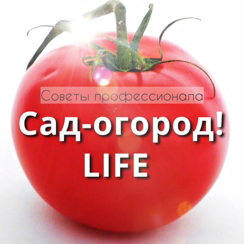 Иконка канала Сад-огород! LIFE