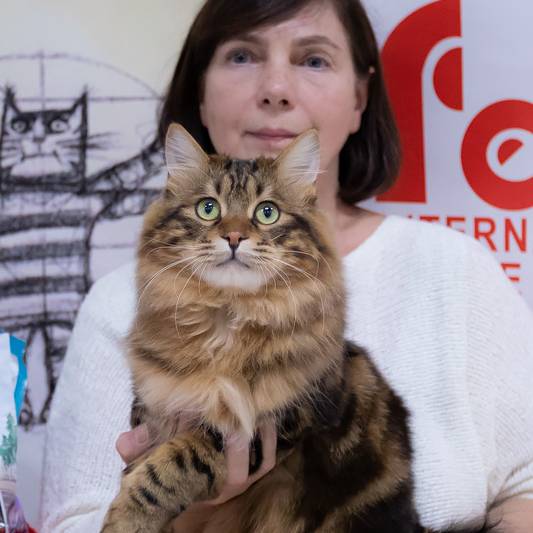 Иконка канала Курильские бобтейлы. Истории из жизни