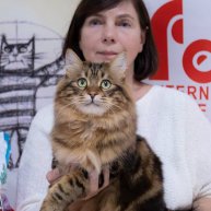 Иконка канала Курильские бобтейлы. Истории из жизни