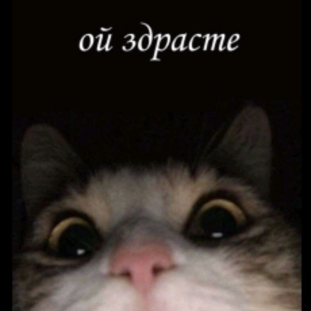 Иконка канала Fleidaiplay10??