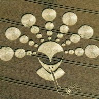 Иконка канала КРУГИ НА ПОЛЯХ