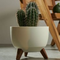 Иконка канала FlowerPower