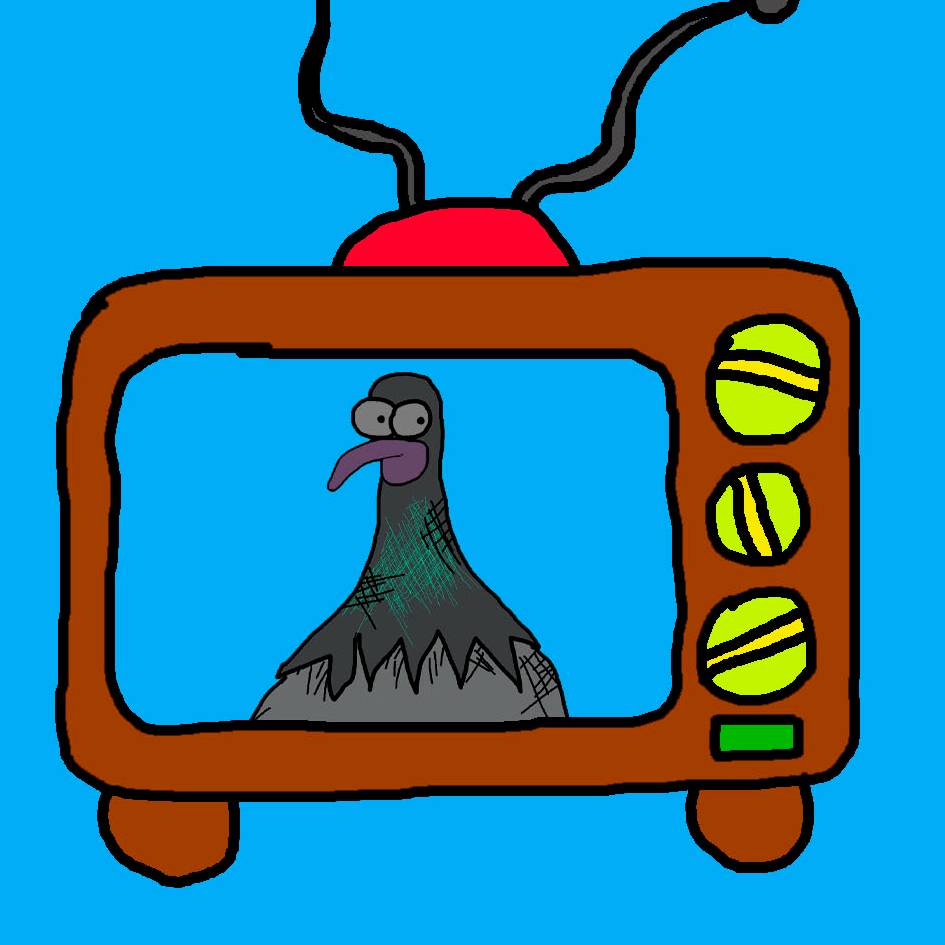 Иконка канала голубь тв