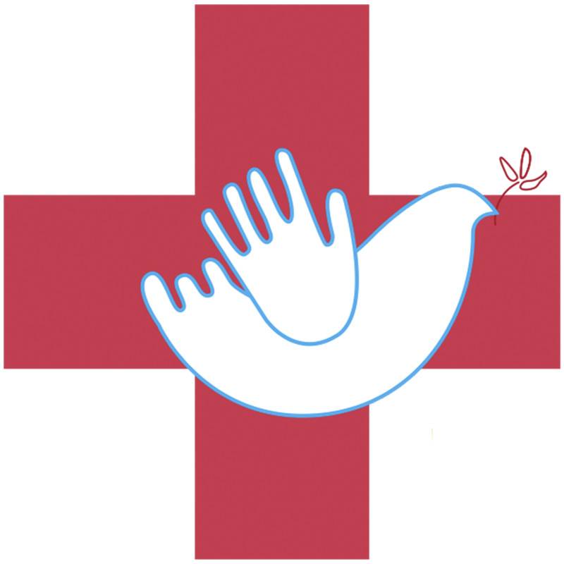 Иконка канала Школа НИИ НДХиТ