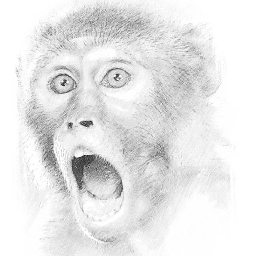 Иконка канала Ты мог этого не знать