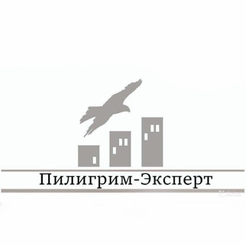 Иконка канала Пилигрим-Эксперт