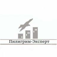 Иконка канала Пилигрим-Эксперт