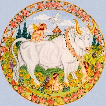 Иконка канала ТЕЛЬЦЫ & Co.