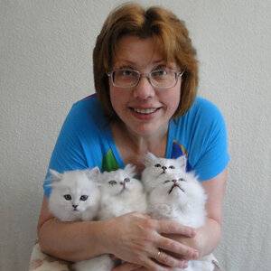 Иконка канала КотоВедение