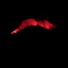 Иконка канала RED
