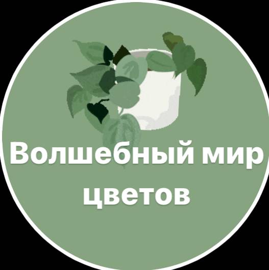 Иконка канала ВОЛШЕБНЫЙ МИР ЦВЕТОВ