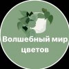 Иконка канала ВОЛШЕБНЫЙ МИР ЦВЕТОВ