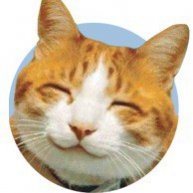 Иконка канала КотэМяут