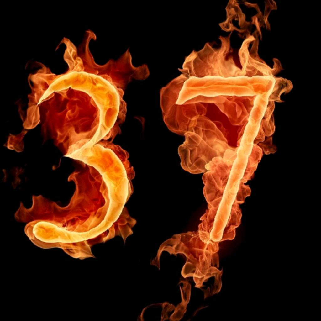 Иконка канала СТАВКА 37