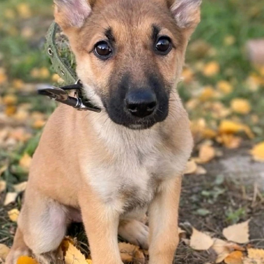 Иконка канала Люся