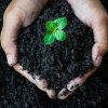 Иконка канала biogumus