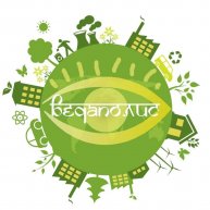 Иконка канала ВЕДАПОЛИС