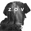 Иконка канала ZOV