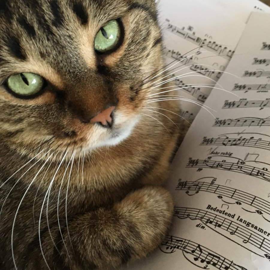 Иконка канала irina.protvino