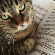 Иконка канала irina.protvino