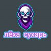 Иконка канала Лёха сухарь