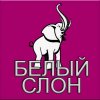Иконка канала БелыйСлон