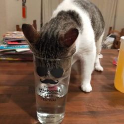 Иконка канала Mkote _мультиметры и около_